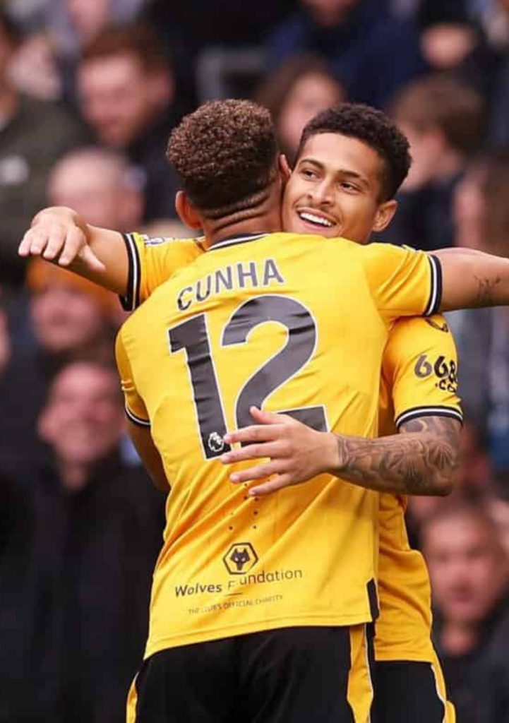 Wolves Foundation | Platform81