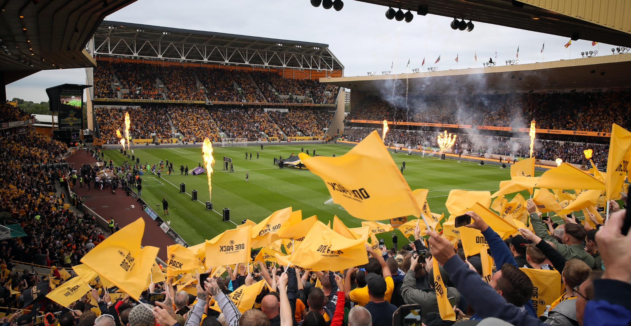 Worldwide Wolves | Platform81